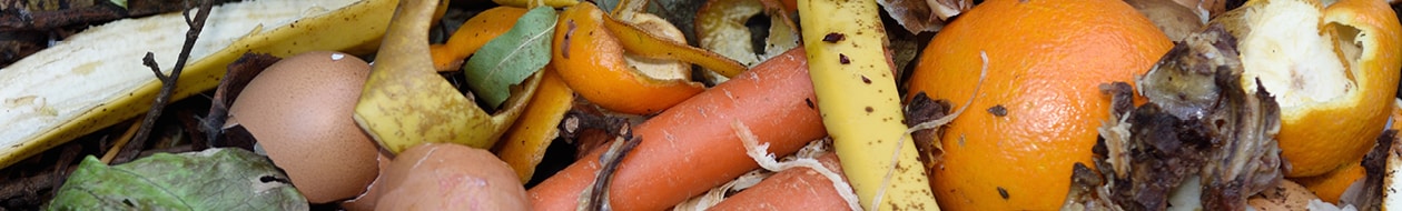 Kitchen waste management: Reducing food waste in Restaurants | UFS SG